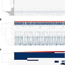 Effect of sampling on limiting reactions in oxygen-limited growth analysis.