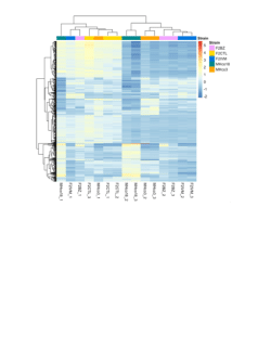 Heatmap of female samples clustered by the top 500 genes based on row ...