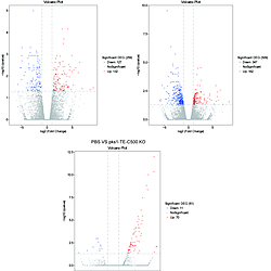 Volcano map of RNA-sequencing analysis.