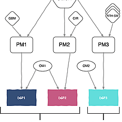 Schematic diagram of the data generating processes (DGPs) explored in this paper.