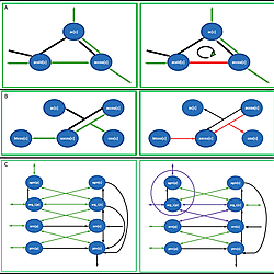 Example of rules to identify infeasible flux patterns.