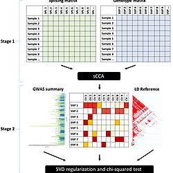 Schematic of the MSG method.