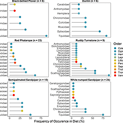 Frequency of occurrence of invertebrate families identified in fecal samples of each shorebird ...