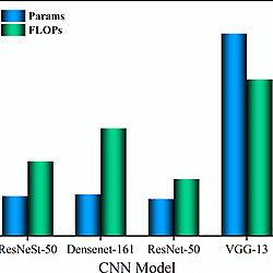 Comparison of Params, FLOPs of CNN models.