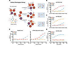 A multiplexed bead-based assay to detect IFN-binding antibodies.