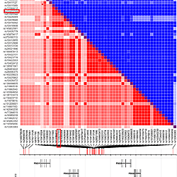 The plot illustrates the Linkage Disequilibrium (LD) heatmap ...