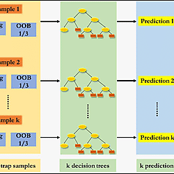 The schematic representation of RF.