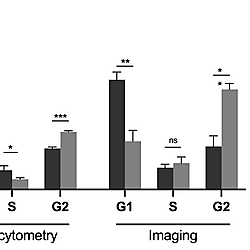Cell cycle staging of DAPI stained cells using flow cytometry analysis ...