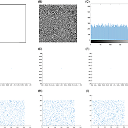 Analysis of encryption test results of all white images.