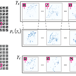 Sparse neural activity maps.