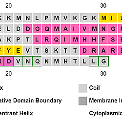 The secondary structure map.