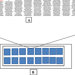 Peptide microarray chip design and layout.