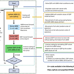 Workflow and description of the spatial QSP model explaining how the ...