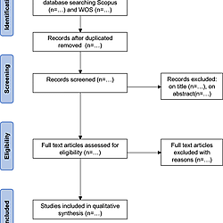 PRISMA flow chart that will be completed in the final scoping review.