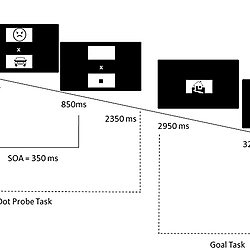 Schematic overview of a trial of the combined dot probe and goal task.