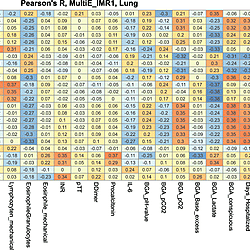 Heat map of Pearson’s correlation between QCT lung segmentation (y-axis ...