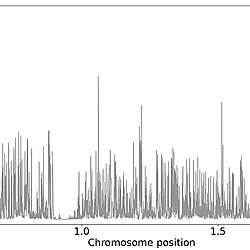 Recombination map for human chr2.
