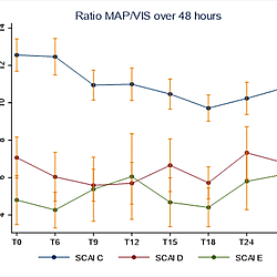 Ratio MAP / Vasopressor-inotropic score over 48 hours.