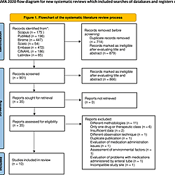 Flowchart of the systematic literature review process.