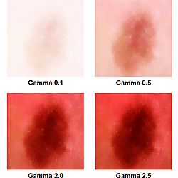 Gamma corrected image transformation.