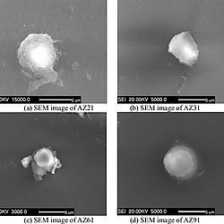 SEM image of Mg-Al alloys with added Al4C3.