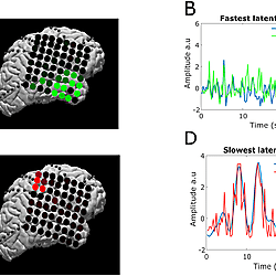 Sample latent neural trajectories with variable temporal dynamics.