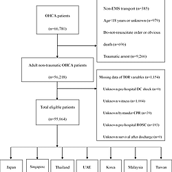 Patient flow chart.