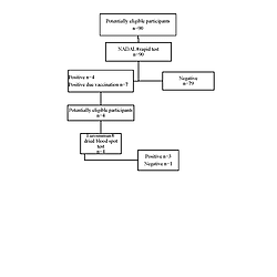 Flow diagram: Test-algorithm for teachers/ educators.