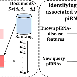 The similarities between the prediction of documents related with query ...