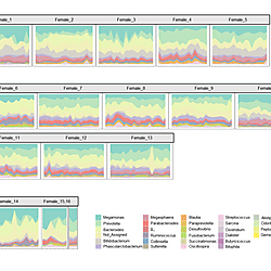 Stacked area plots by each individual based on genus level.