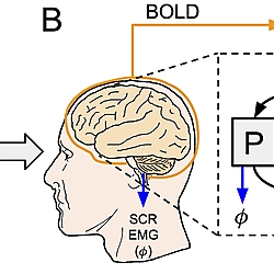 Explicit affect regulation task design and conceptual model of affect ...
