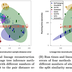 Comparison of methods with respect to running time and lineage tree ...