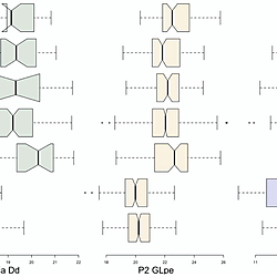 Notched boxplots indicating the range, mean and 95% confidence interval ...