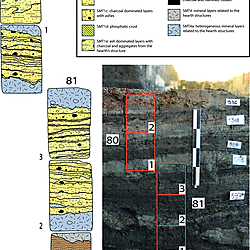 Sampling location of OPP 80–81 and interpretation of the vertical ...