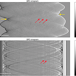 Simulated sinogram (top) and real sinogram (bottom) used for ...