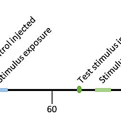 Sample experiment timeline.