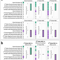Examples of Formula Inputs and Outputs.
