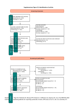 Modified PRISMA 2020 flowchart of screening and selection process.