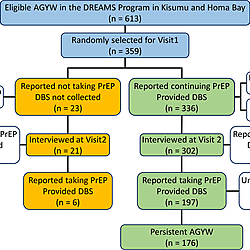 Study flow chart showing study design and the attrition of participants ...