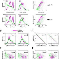 Contrast statistics measured from shadow and occlusion edges (N = 2000 ...