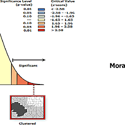 Global Moran’s I spatial autocorrelation report.