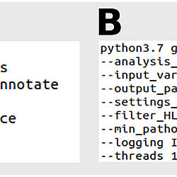 Command line examples for the two commands of GenOtoScope.