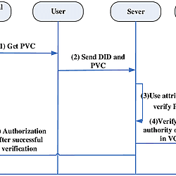 Central domain authentication process.