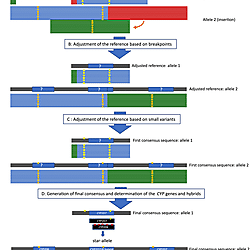 Workflow of the in-house developed CoLoRGen pipeline, which combines ...