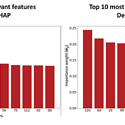 Comparison of DeepSHAP and Kernel SHAP.