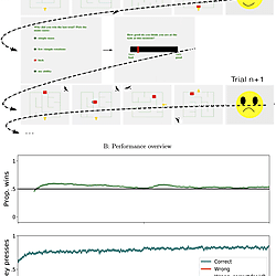 Task and performance overview.