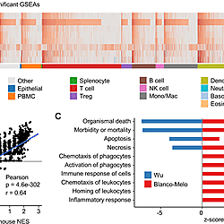 Gene Set Enrichment Analysis using immune-cell gene sets.