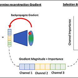 A multi encoder variational autoencoder architecture is implemented ...