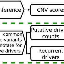 Flowchart depicting a cancer-cell-filtering process.