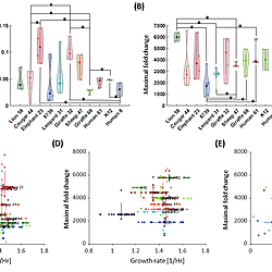 Variability of maximal fold change, maximal growth rate, and death rate ...